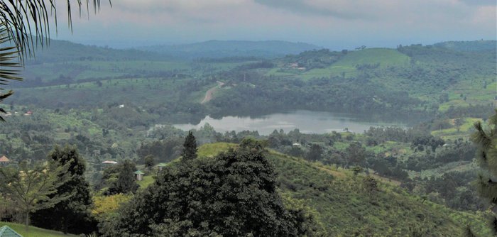 Articles about soils: the base of terrestrial ecosystems