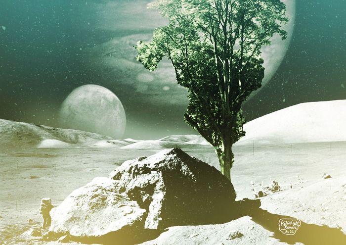 Tree of heaven: a succesful species in a deforested world.