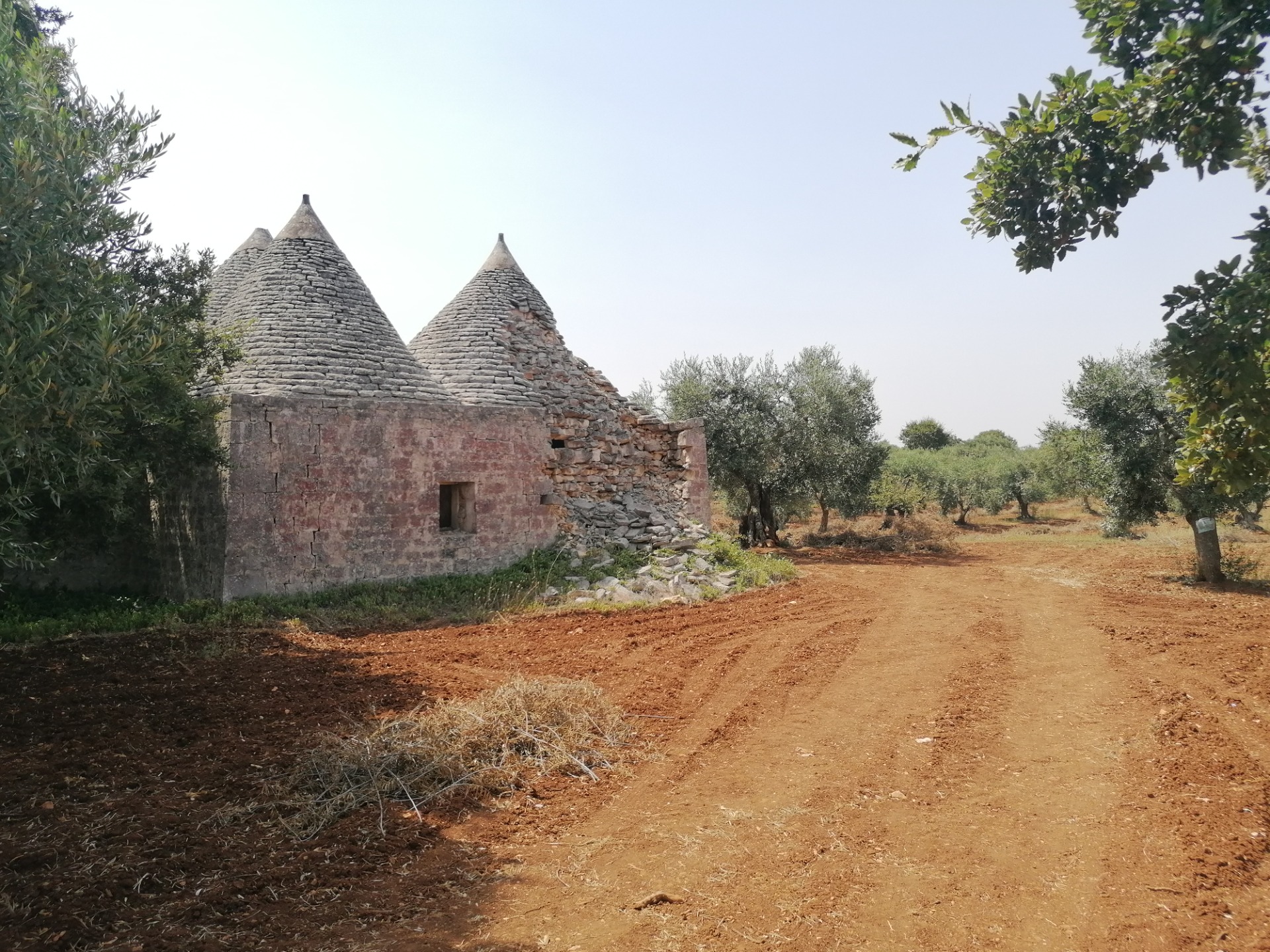 Geology of Puglia: Last piece of the vanished continent Adria.