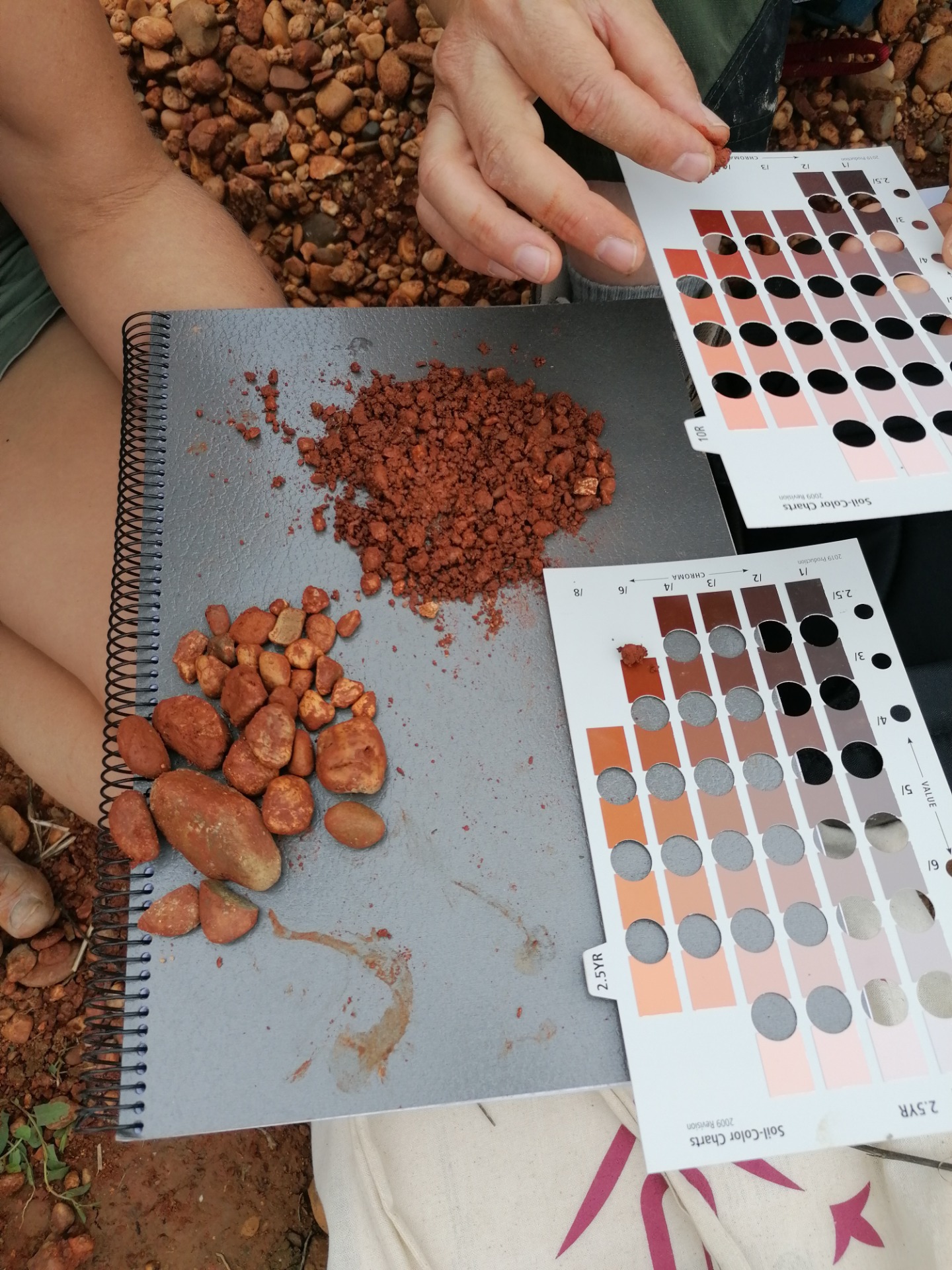 Catalonia's unique soils: impressions of the WRB excursion of 2023.