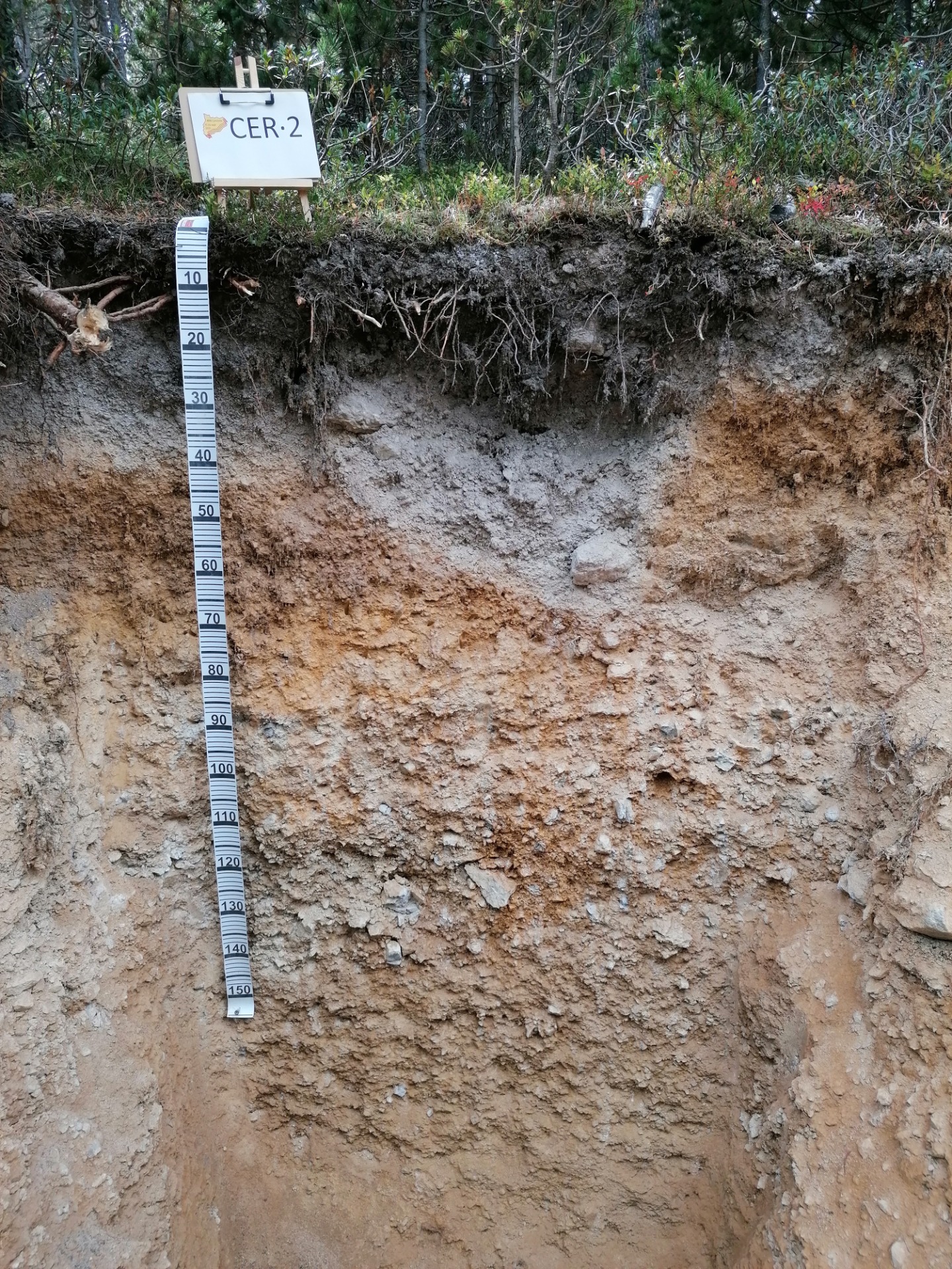 Catalonia's unique soils: impressions of the WRB excursion of 2023.