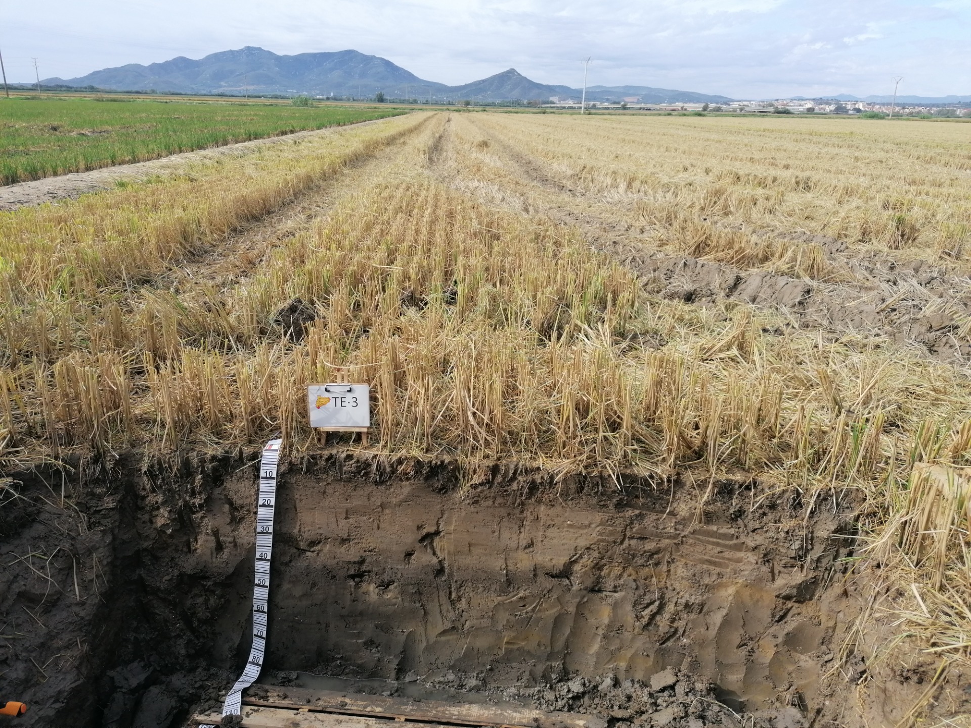 De unieke bodems van Catalonië: indrukken van de WRB-excursie van 2023