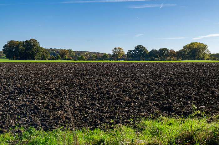 What are Chernozems? The black earth of the world explained.